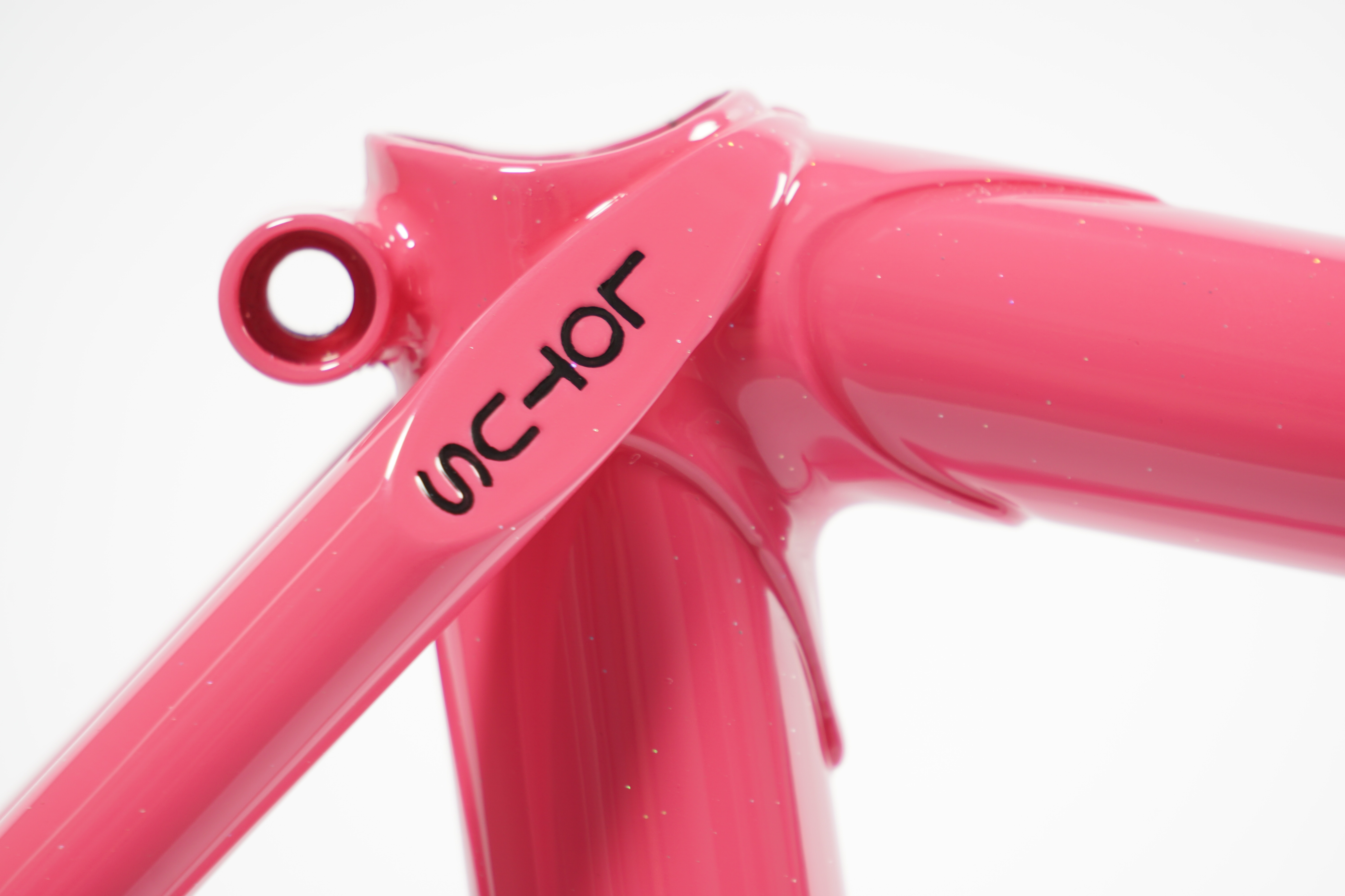 Flux Customs – Tailored Paint and Ceramic Coat Finishes